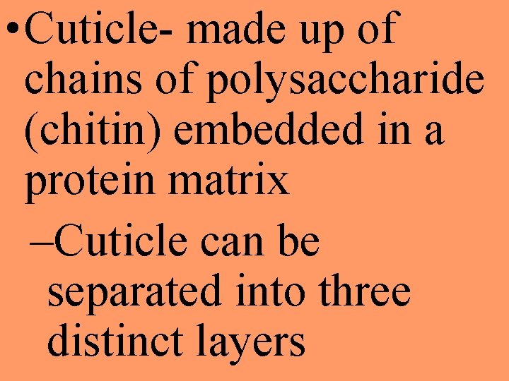 Phylum Arthropoda General Characteristics Arthropod jointed foot Exhibit