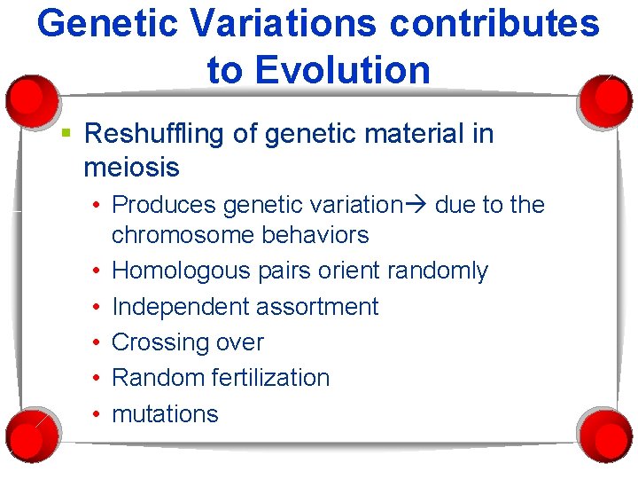 Chapter 13 15 Meiosis Sexual Life Cycles Mendelian