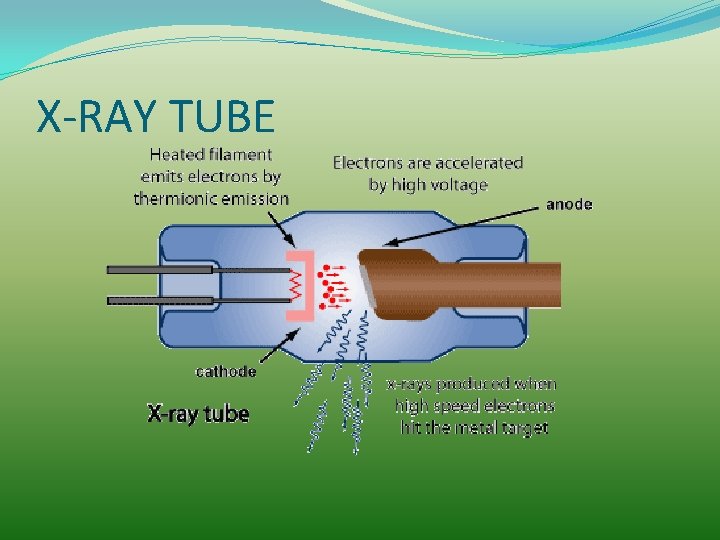 XRAYS XRAY TUBE Xrays are commonly produced by