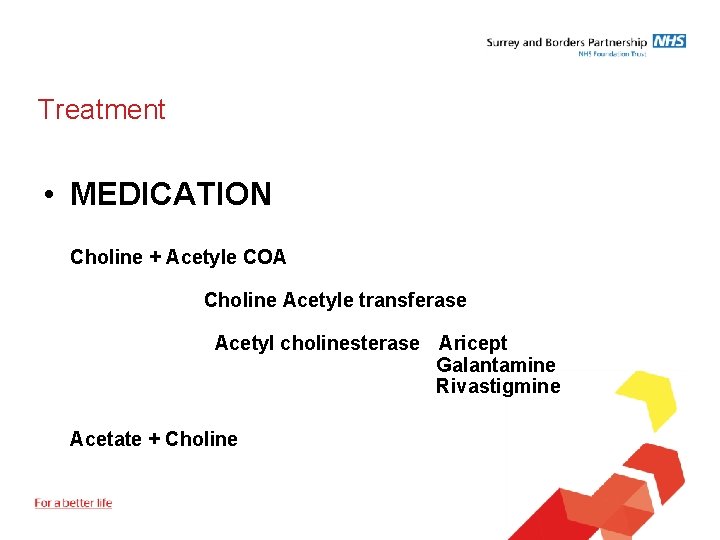Treatment MEDICATION Choline Acetyle COA Choline Acetyle transferase