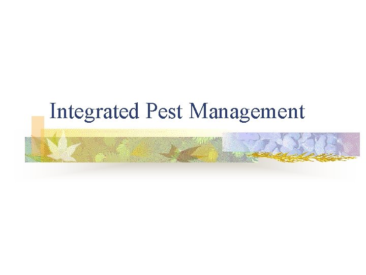Integrated Pest Management What is Integrated Pest Management