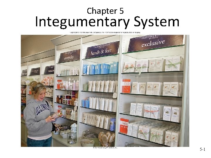 Chapter 5 Integumentary System 5 1 5 4