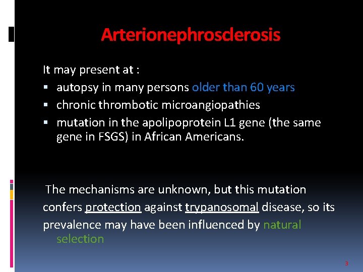 Diseases of Kidney Blood Vessels 1 Arterionephrosclerosis The