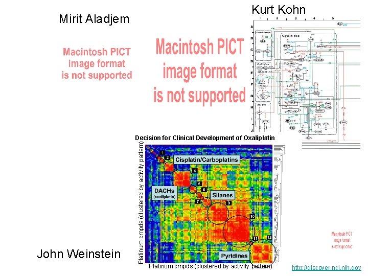Kurt Kohn Mirit Aladjem John Weinstein Platinum cmpds