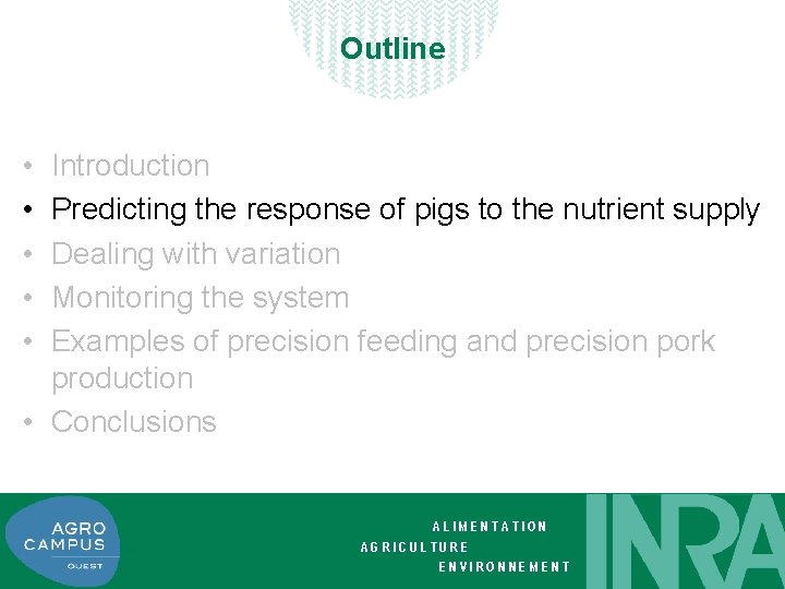 Precision feeding in swine for a sustainable animal