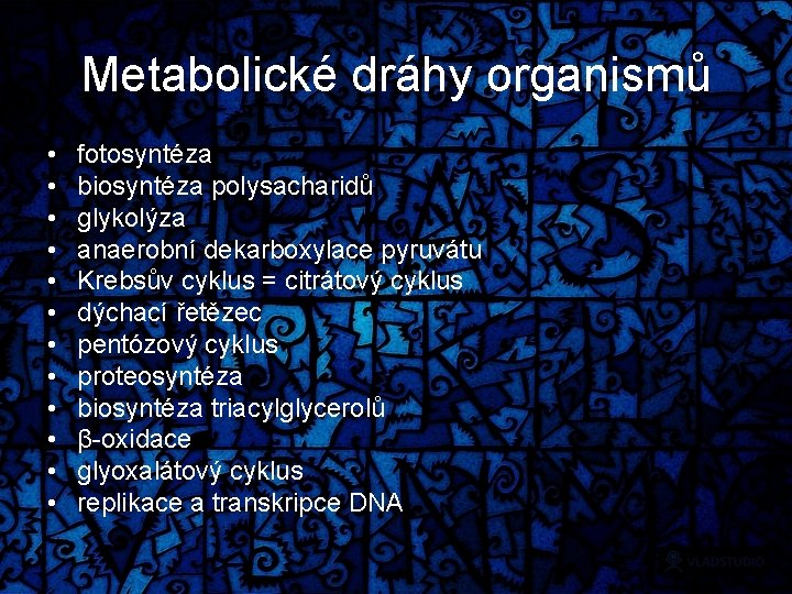 Metabolismus Metabolick drhy organismu Proteiny lipidy sacharidy Co