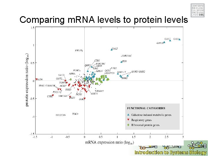 Introduction to Systems Biology Overview of the day