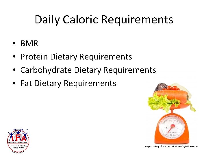 Version 1 1 A 1995 2020 by IFA