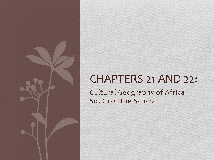 CHAPTERS 21 AND 22 Cultural Geography of Africa
