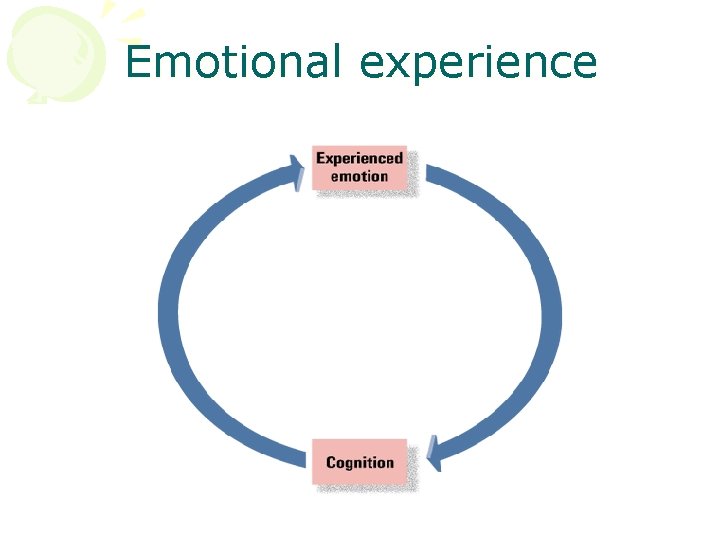 Physiological bases of behavior emotions Emotion Emotion is