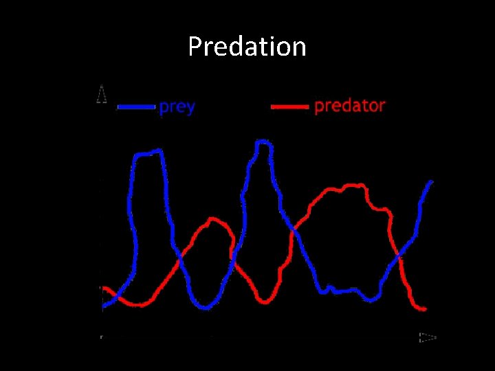 Population Growth Patterns By Ben Pirro Arkin Rao