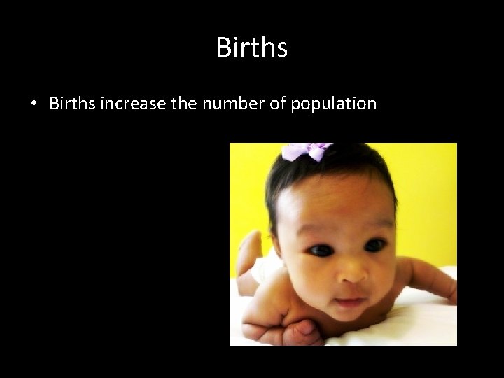 Population Growth Patterns By Ben Pirro Arkin Rao
