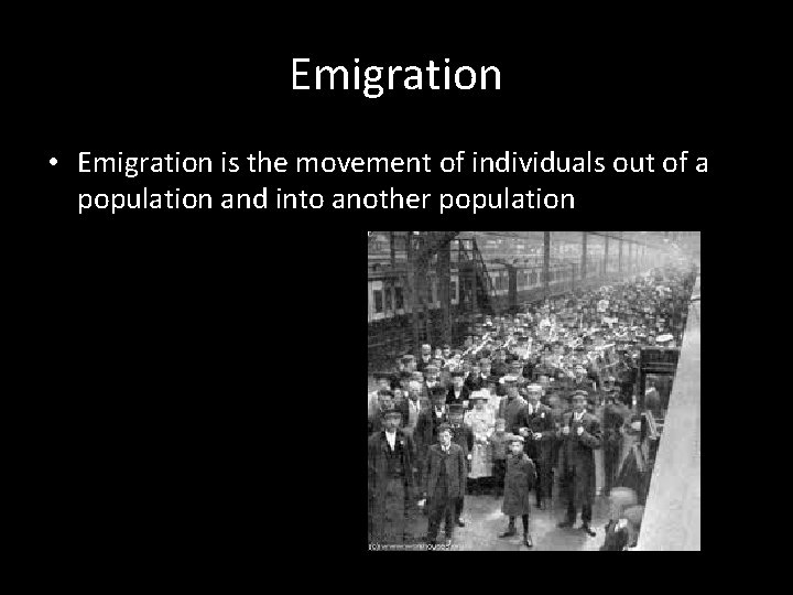 Population Growth Patterns By Ben Pirro Arkin Rao