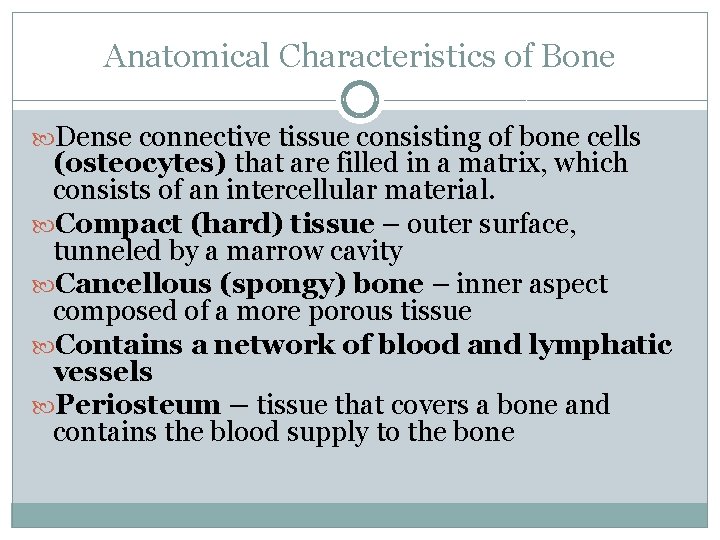 General Muscle Bone Articulation Anatomy COACH RYAN Skeletal