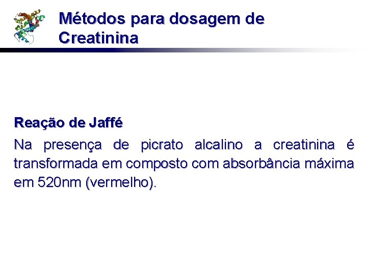 Exames bioqumicos para avaliar funo renal Prof Leonardo