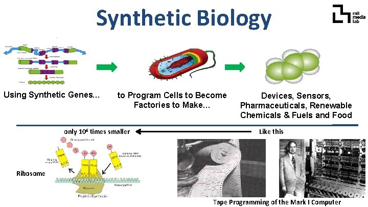 Building a FAB for Synthetic Biology MIT Molecular