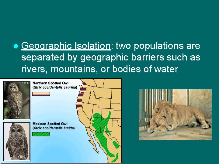Evolution of Populations Chapter 16 Darwin and Genetics