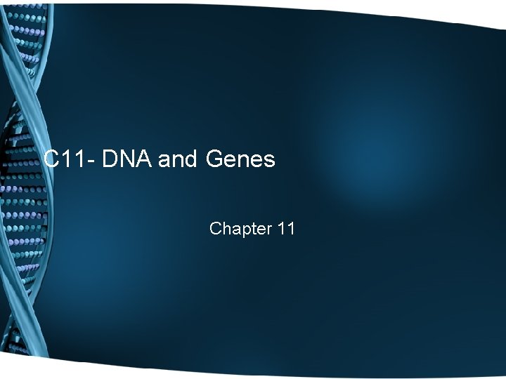 C 11 DNA and Genes Chapter 11 Contents