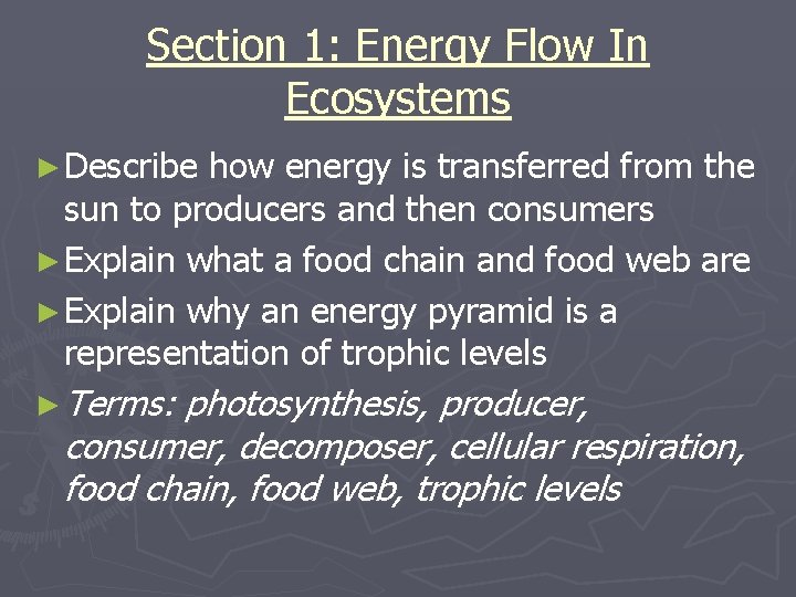 How Ecosystems Work Big Ideas The flow of