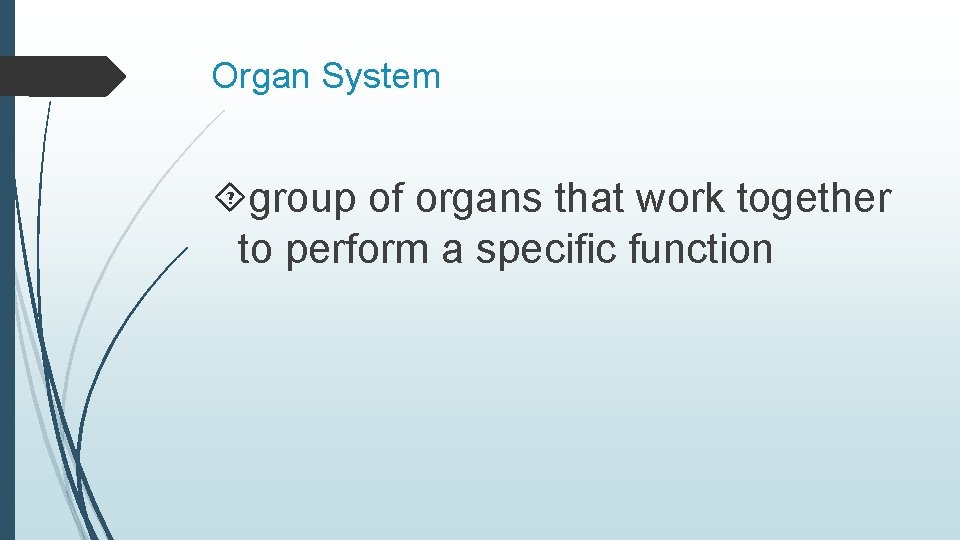 Human Body Systems Review Lets Review You are