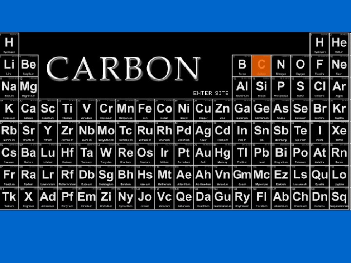 Agree Disagree Animals get carbon by eating plants
