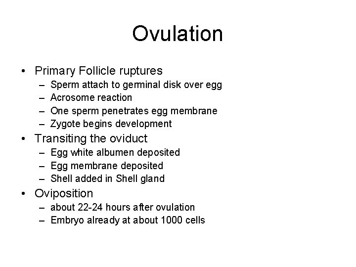 Chick Embryo Development Dr Douglas Rhoads Professor Biological