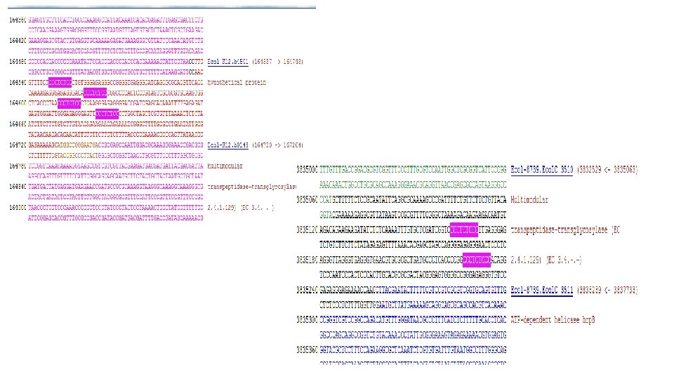 Consensus SDR Sequence in E coli near Important