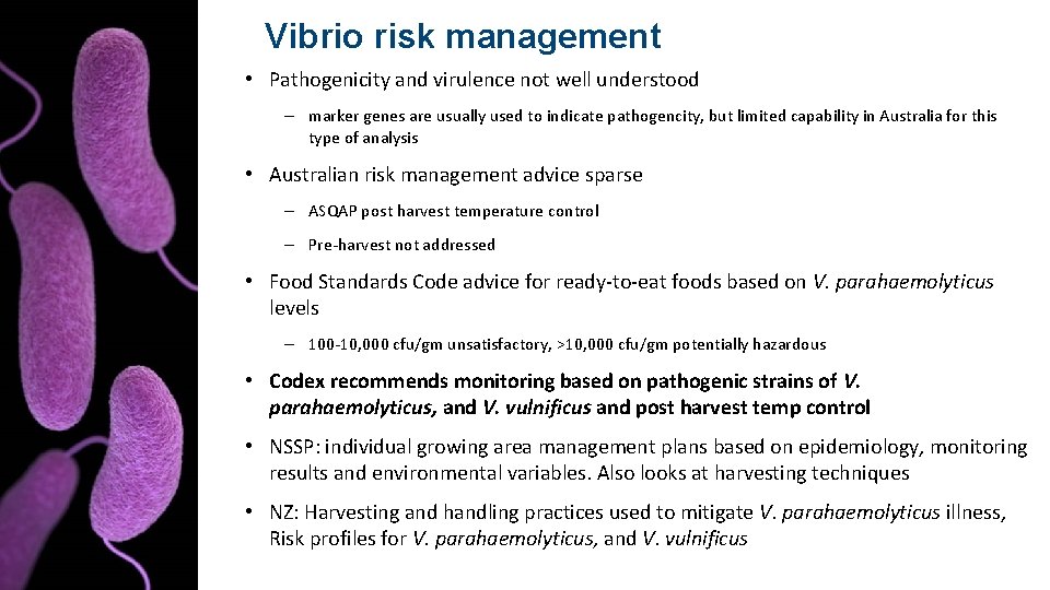 Vibrio what are the risks and consequences for