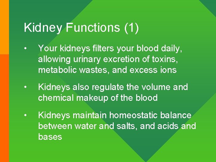 The Urinary System Kidney Functions 1 Your kidneys