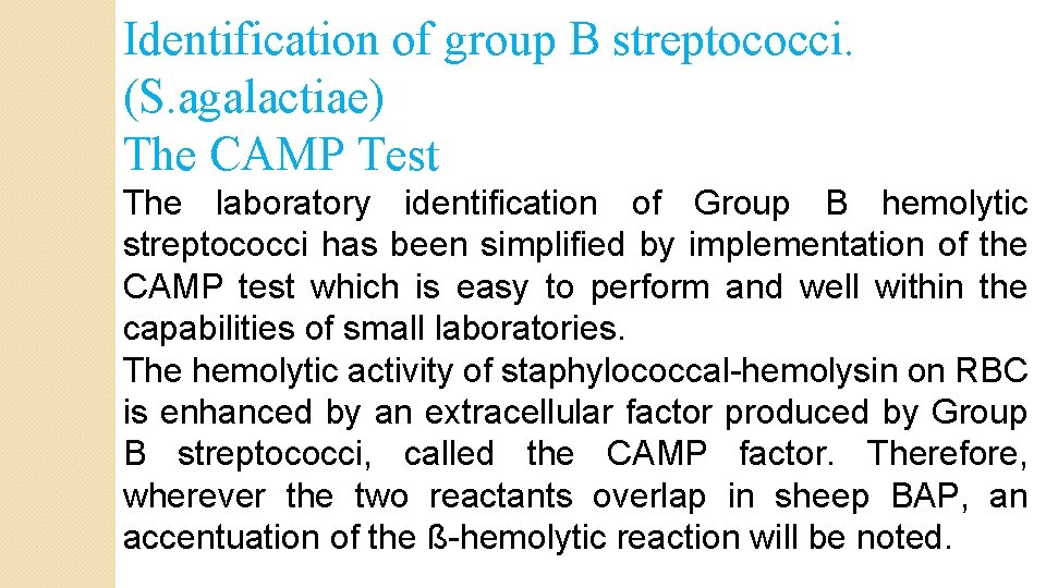 Practical No 10 Streptococcus species Members of the