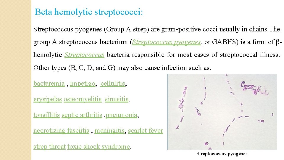 Practical No 10 Streptococcus species Members of the
