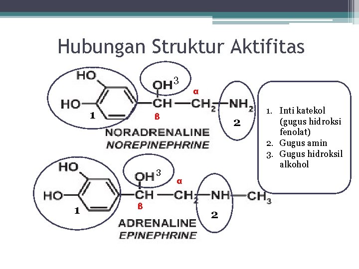 HUBUNGAN STRUKTUR AKTIVITAS SENYAWA ADRENERGIK PEMBLOK ADRENERGIK JULAEHA