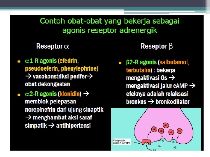 HUBUNGAN STRUKTUR AKTIVITAS SENYAWA ADRENERGIK PEMBLOK ADRENERGIK JULAEHA