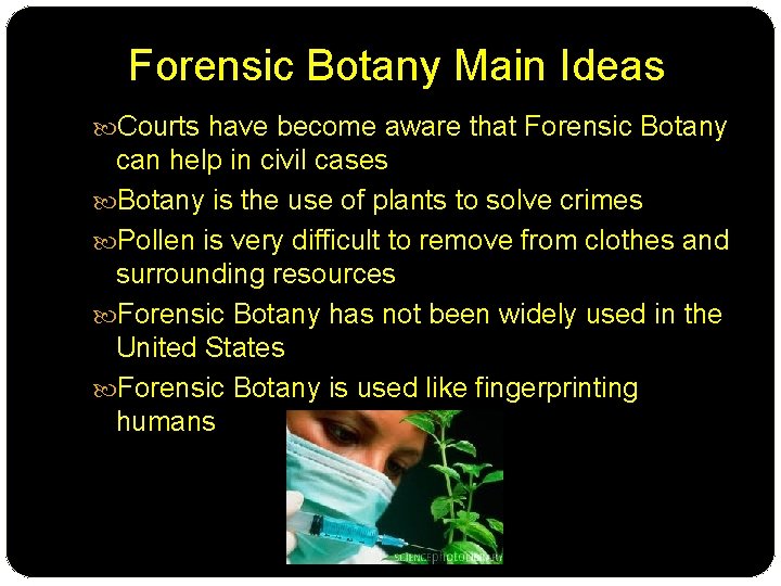 Crime Scene Botanicals How Plants Are Used In