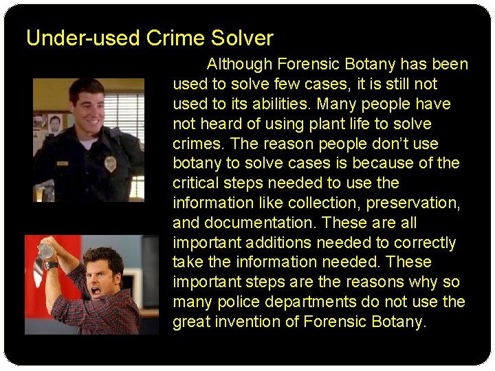 Crime Scene Botanicals How Plants Are Used In