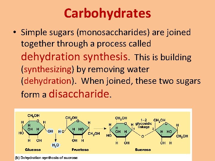 CHAPTER 4 The Chemical Basis of Life 4