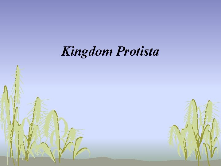 Kingdom Protista Protists first appeared in the fossil