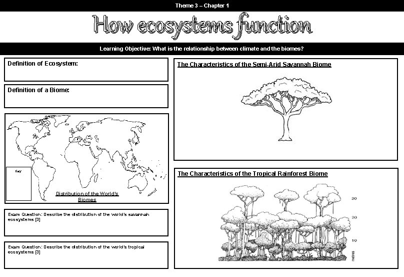 Theme 3 Chapter 1 How ecosystems function Learning