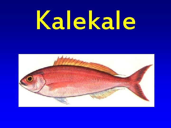 Introduction to Hawaiis Longline Fisheries Auction System and