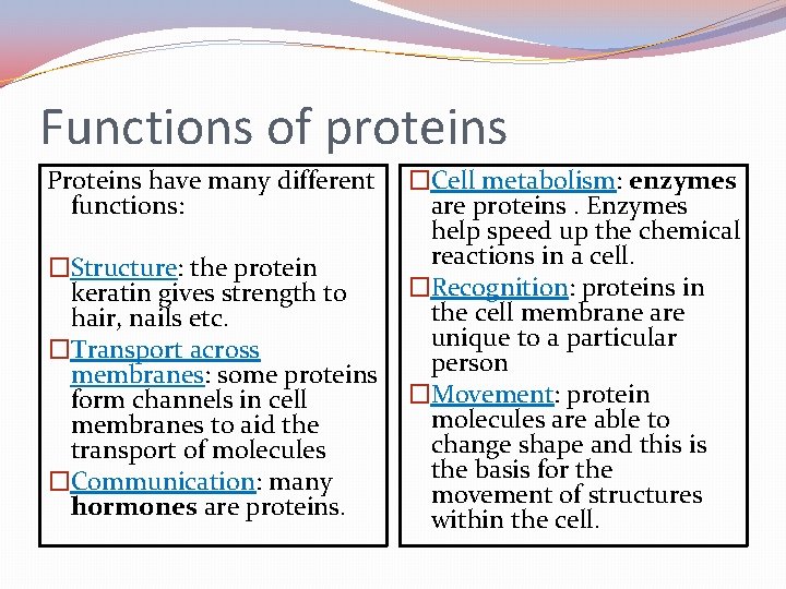 Cell protein production Text Chapter 3 Human Biology