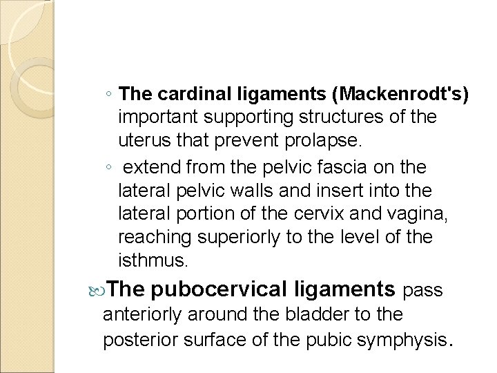 Anatomy Embryology and Uterine anomailes Dr Raheq Abushoqair