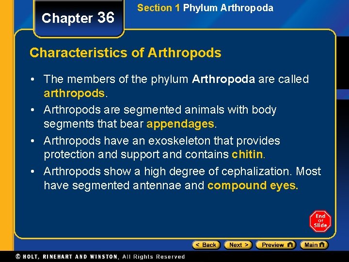 Chapter 36 Section 1 Phylum Arthropoda Objectives Describe