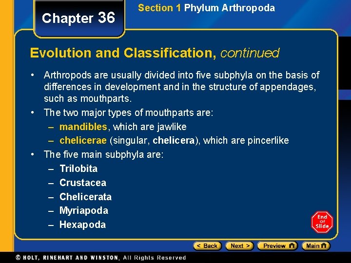Chapter 36 Section 1 Phylum Arthropoda Objectives Describe