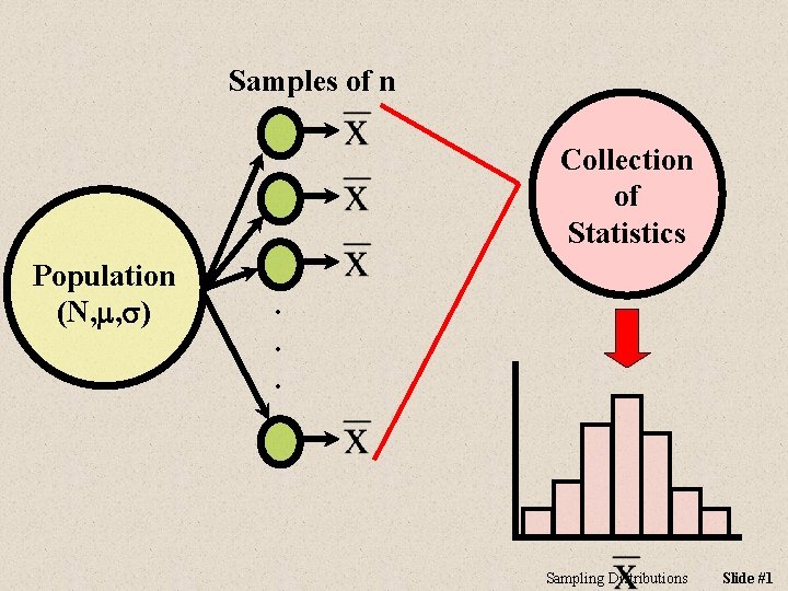 Samples of n Collection of Statistics Population N