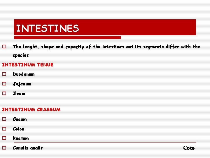 The Stomach Gaster Ventriculus o The Stomach is