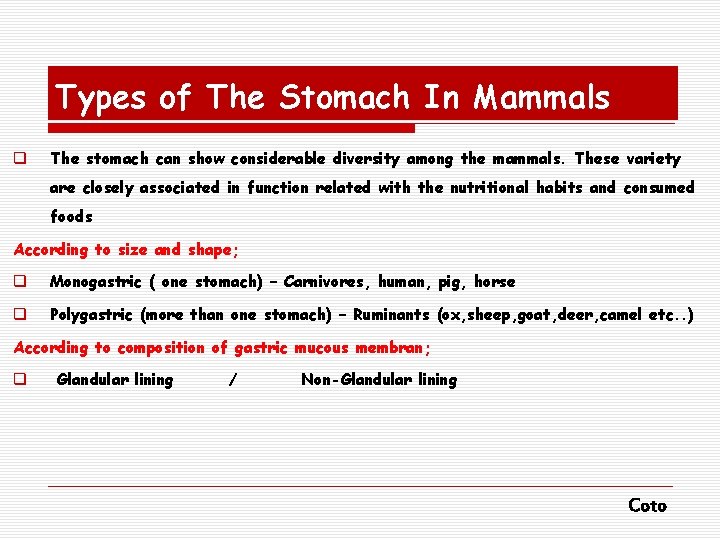 The Stomach Gaster Ventriculus o The Stomach is