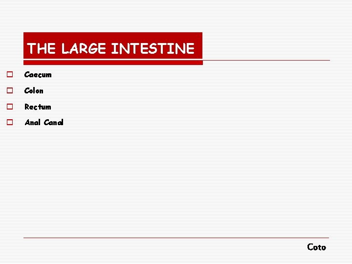 The Stomach Gaster Ventriculus o The Stomach is