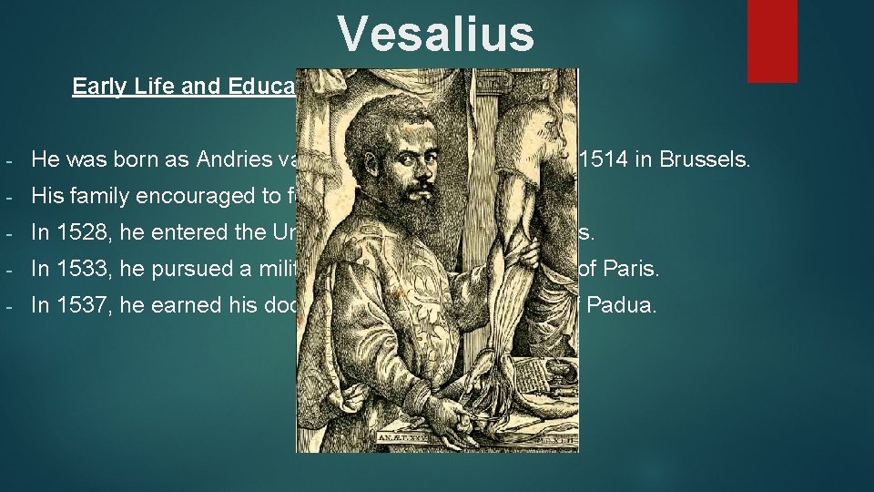 Vesalius Early Life and Education He was born