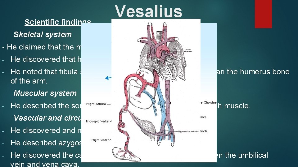 Vesalius Early Life and Education He was born