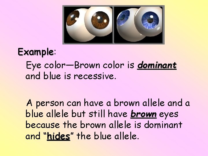 Genetics Heredity DNA Objectives Define Genetics heredity and
